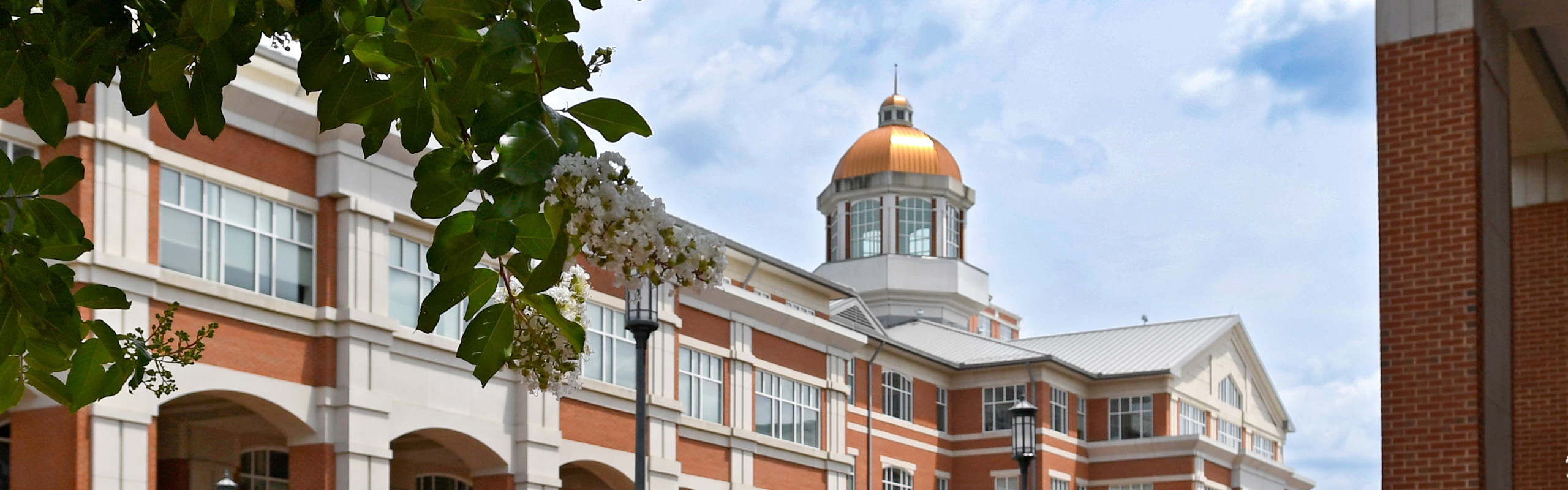 Resources - Undergraduate Admissions